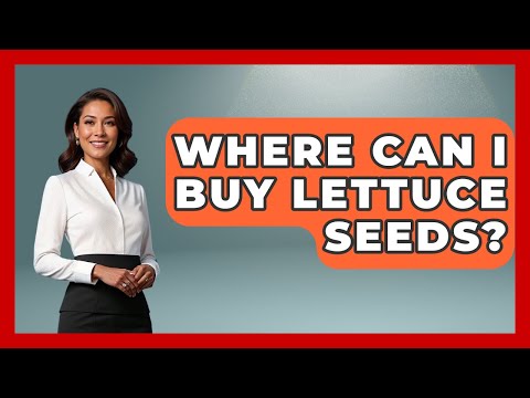 Where Can I Buy Lettuce Seeds? - The World of Agriculture