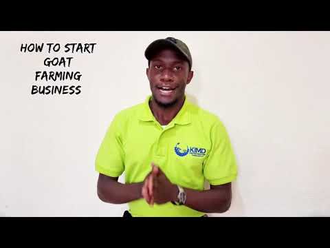 How to Start a successful Goat Farming Business | Kimd Farm