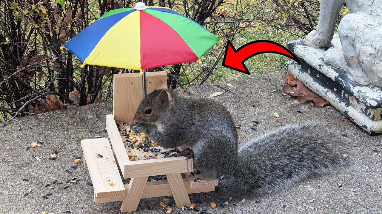 A Picnic Table Squirrel Feeder?  This is Adorable!