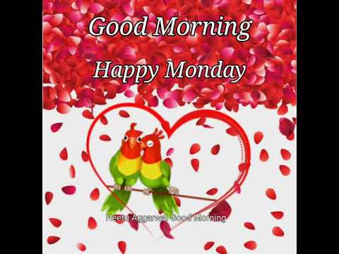 Good Morning Happy Monday,Monday Greetings,Happy Monday Whatsapp Status Video,Happy Monday Wishes