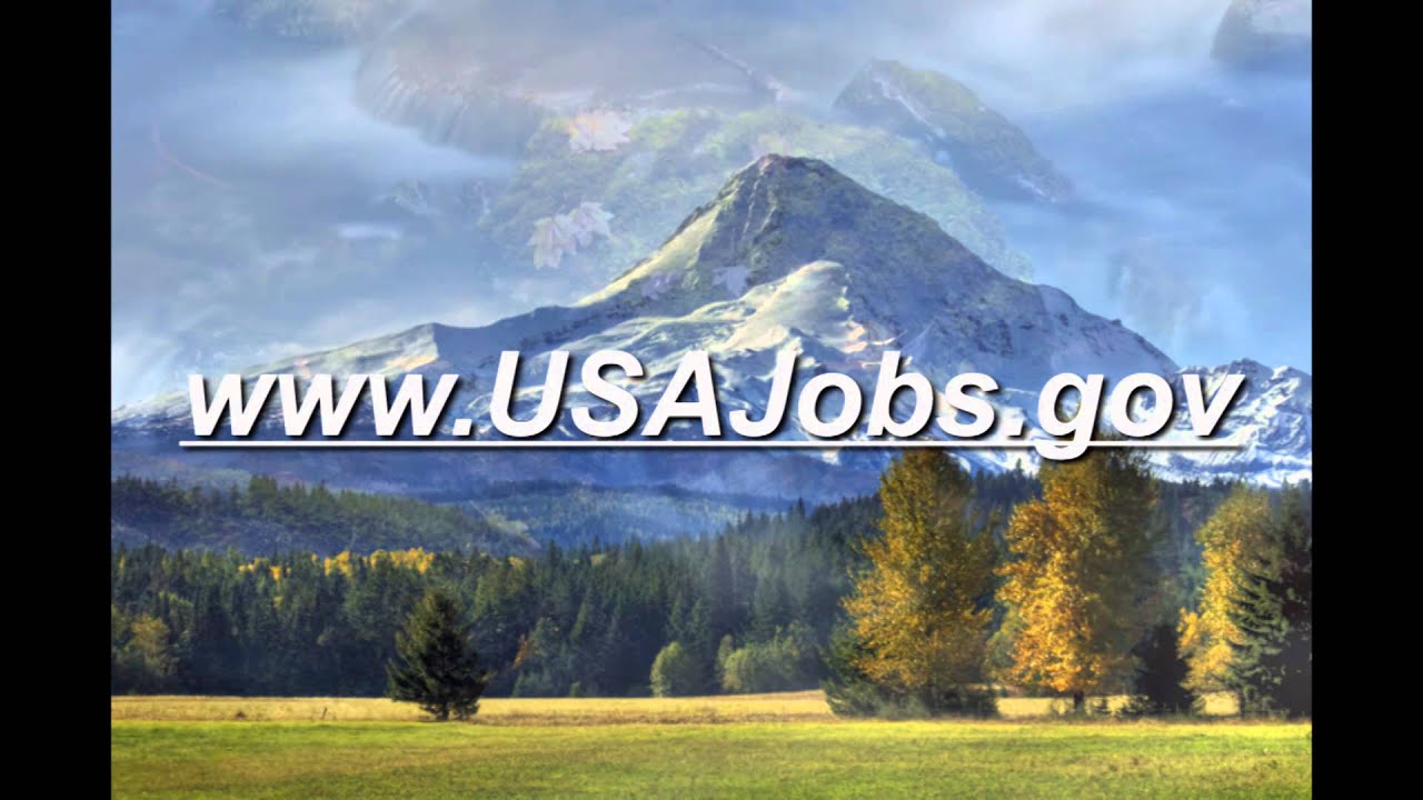 Temporary Hiring with the U S  Forest Service