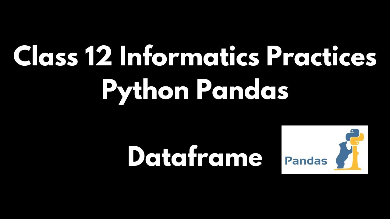 Class 12 Informatics Practices - Python Pandas DataFrame