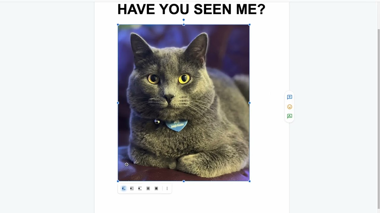 Creating a lost pet flyer on Google Docs
