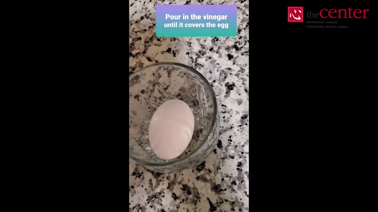 The Eggcellent Experiment!