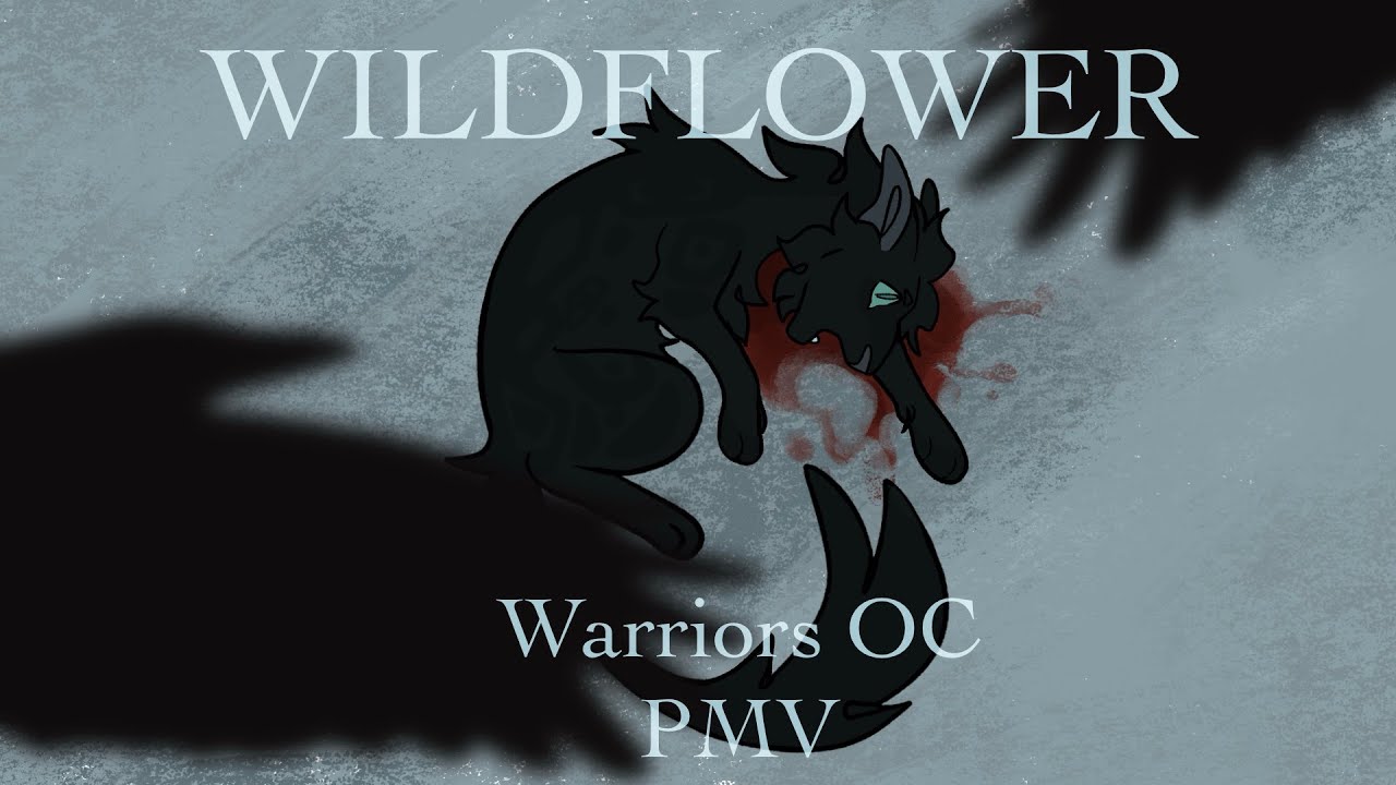WILDFLOWER | Warriors OC PMV