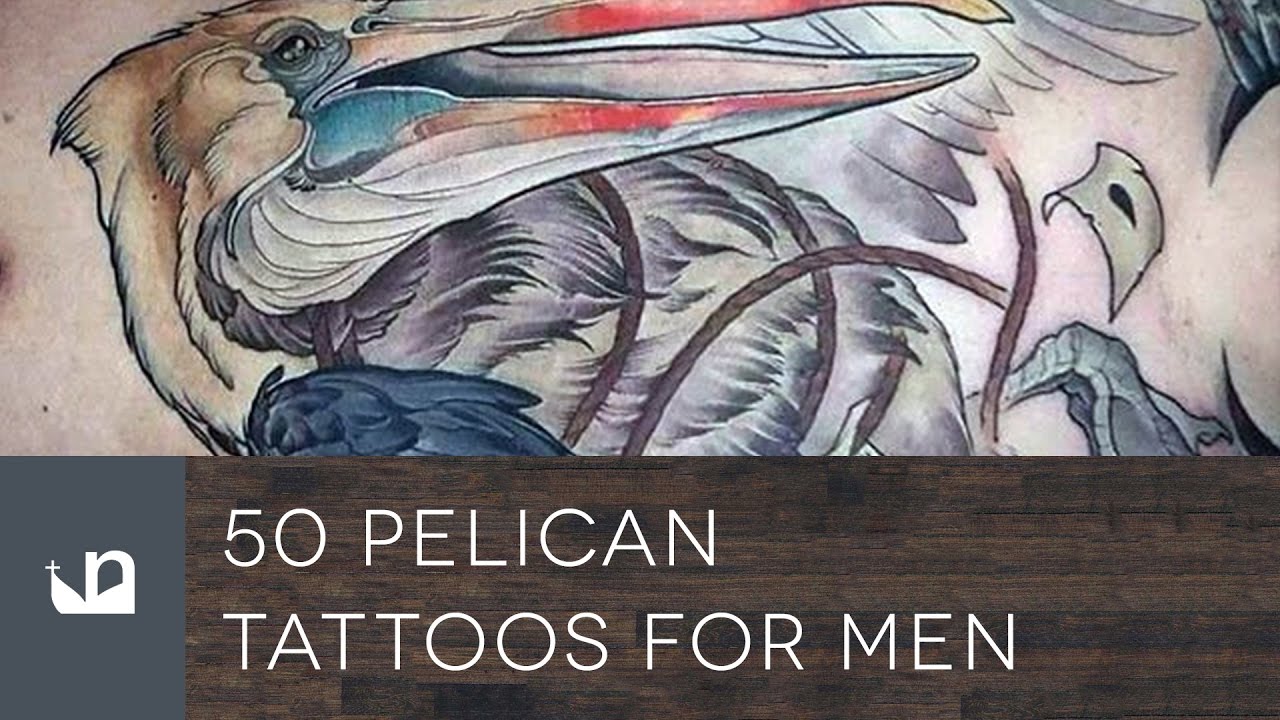 50 Pelican Tattoos For Men