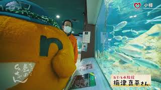 北海道テレビ：HTB online