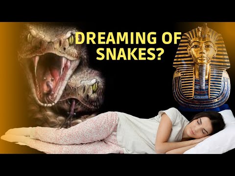πWHAT DOES IT MEAN TO DREAM WITH SNAKES | Meaning Dreams
