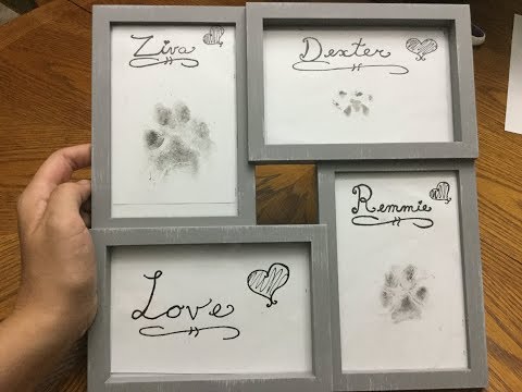 Pet Crafts! Paw Print Frame