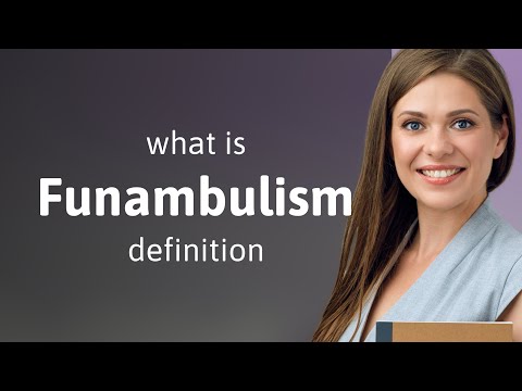Funambulism • FUNAMBULISM meaning