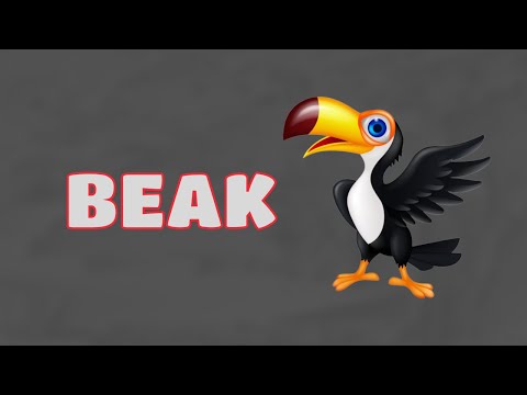 What Does BEAK Means || Meanings And Definitions With Example in ENGLISH What is