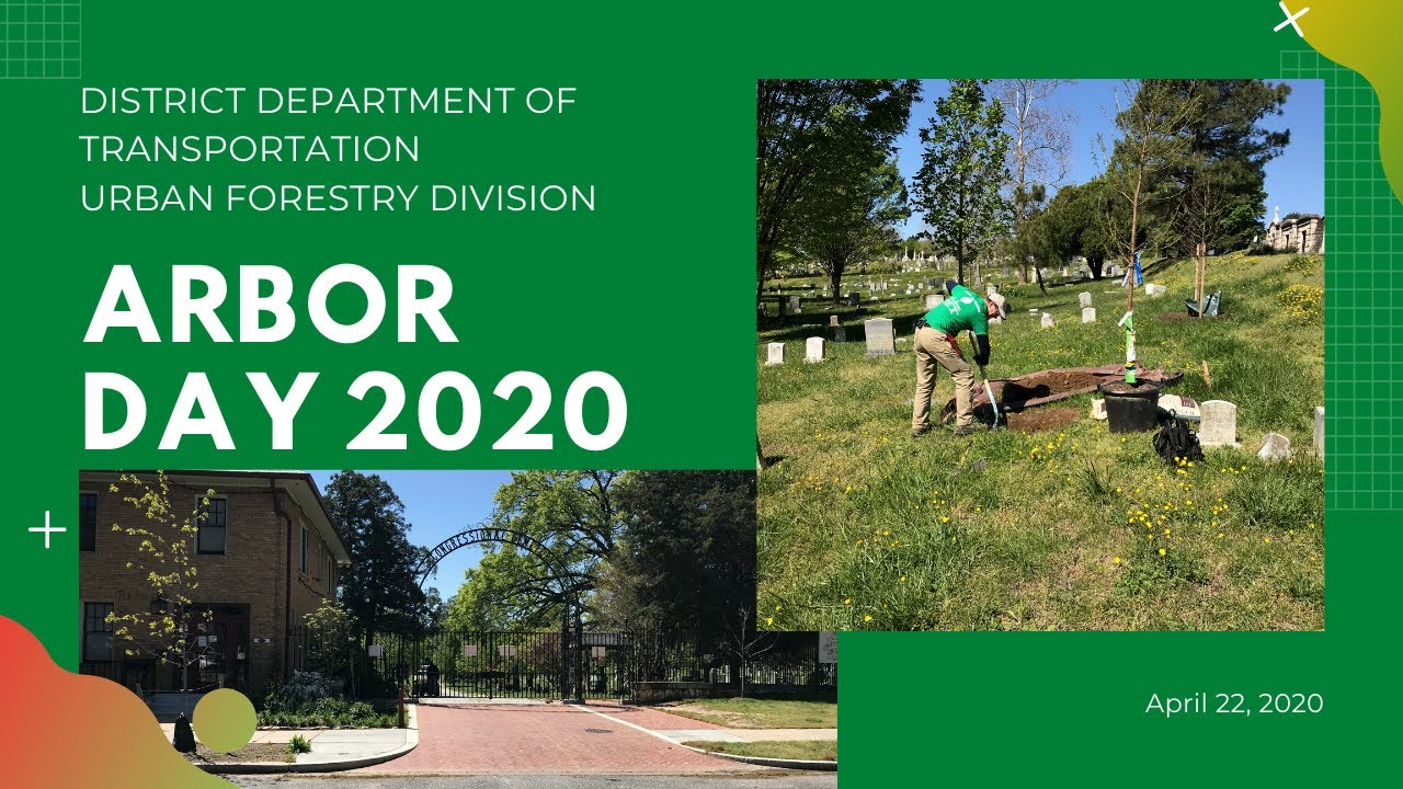 Arbor Day 2020 - Tree Planting Demo