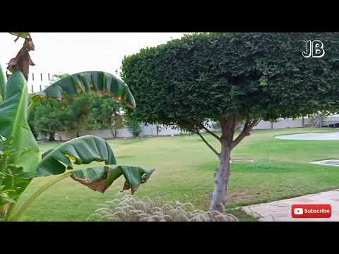 Five Star Hotels Landscaping Flowers Trees