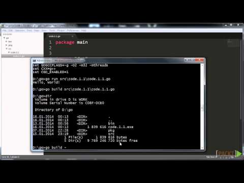 Learn Building Your First Application with Go Tutorial Mastering the go Tool | packtpub com ...