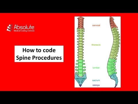 AMCI - Coding Spine Procedures