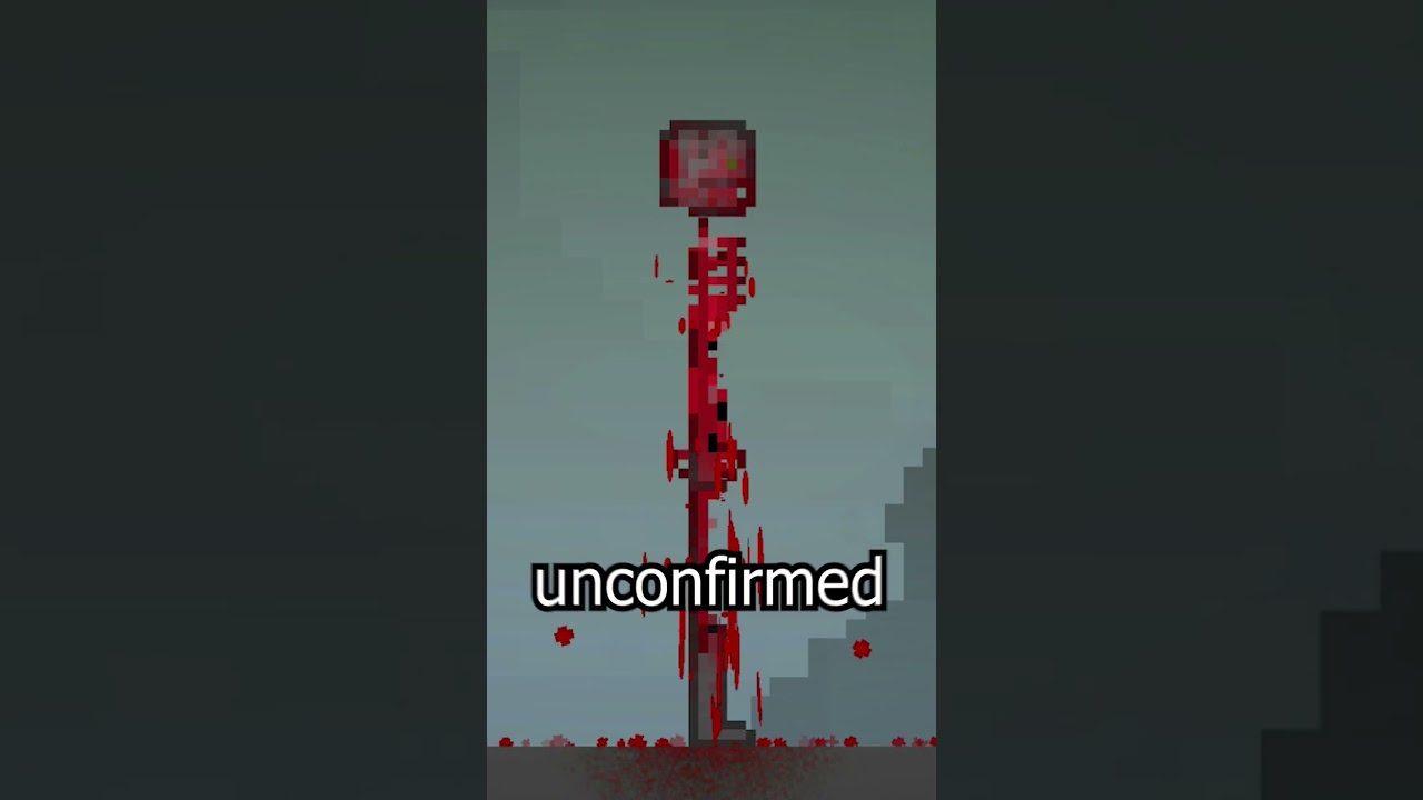 The Biggest Mystery in Melon Playground