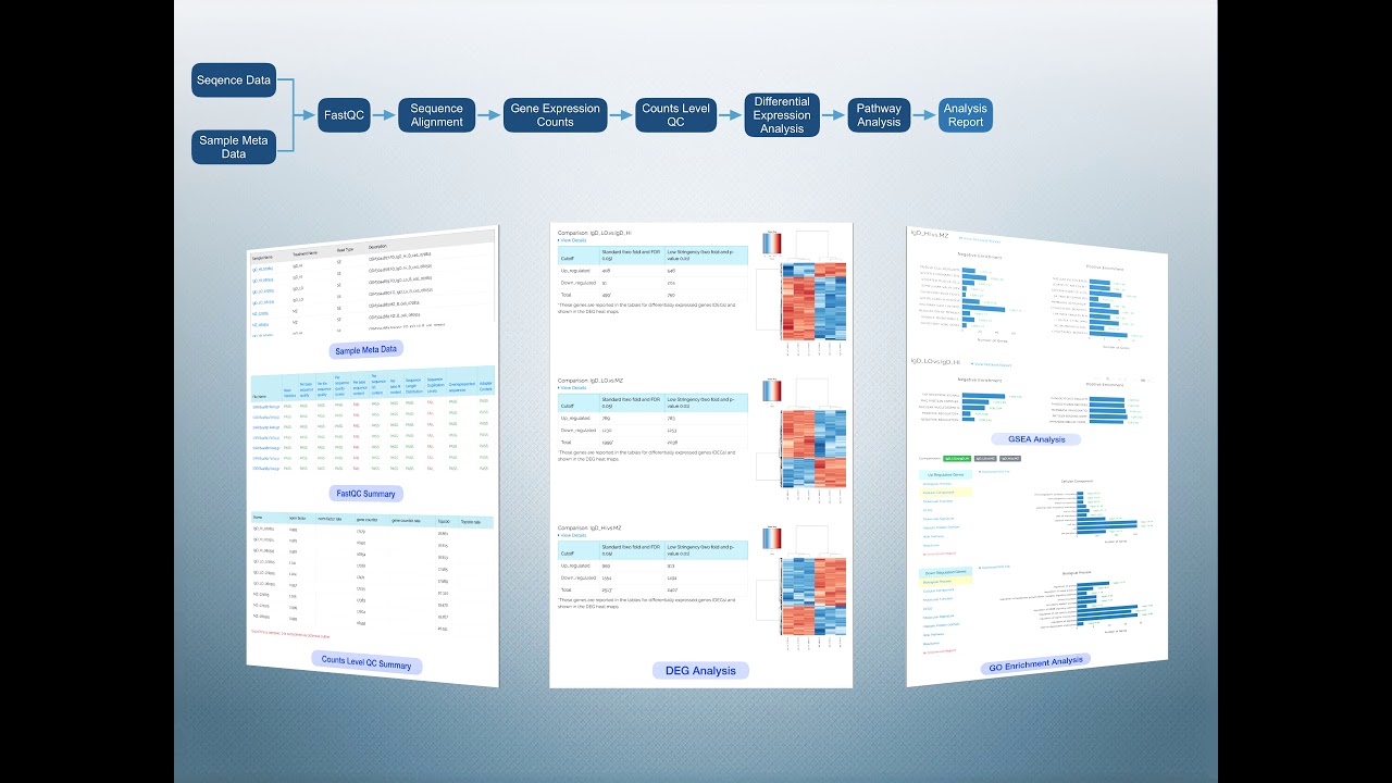 RNA-Seq Data Mining Made Easy by BxGenomics