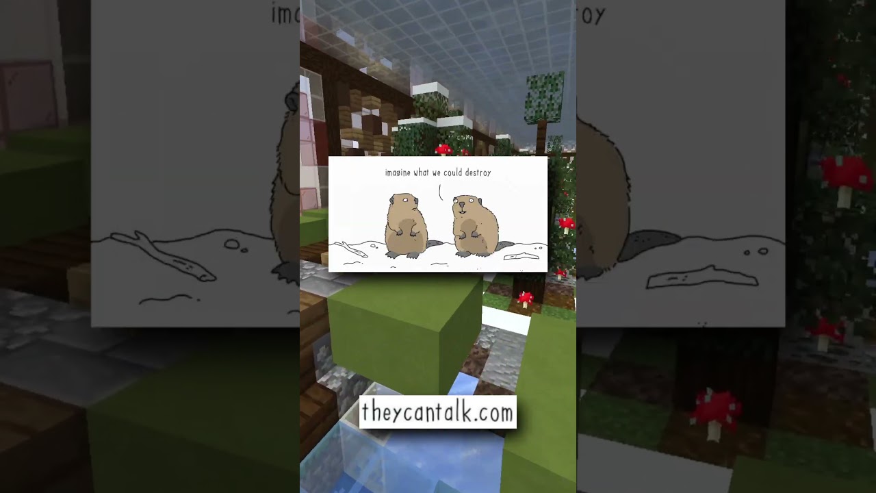 Two Sides Of The Same Coin