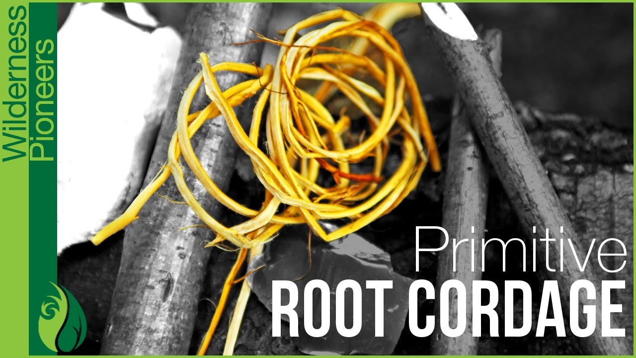 Primitive Skills - Root Cordage