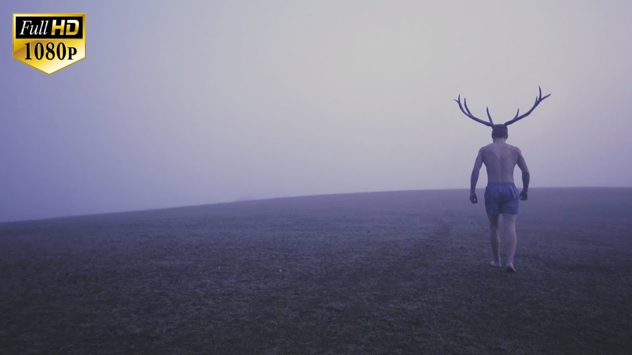 Deer Boy - Trailer | FHD