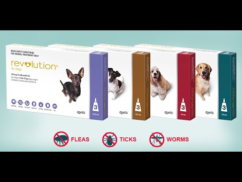 REVOLUTION: Solution For 3 Problems (Fleas, Ticks And Worms in Dogs) | DiscountPetCare