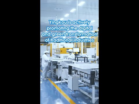 Yingkou is actively promoting the digital and green transformation of traditional industries