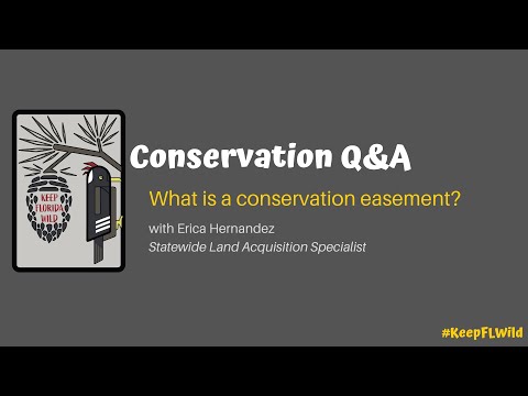 Conservation Q&A: What is a conservation easement?