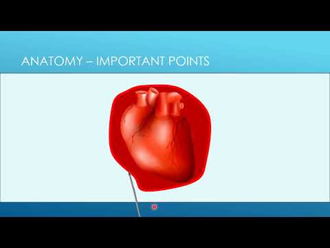 4. Pericardiocentesis - Anatomy