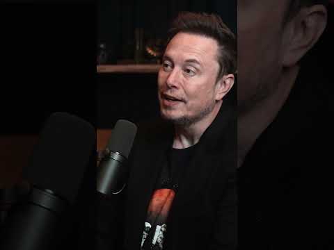 Elon Musk on Israel-Palestine