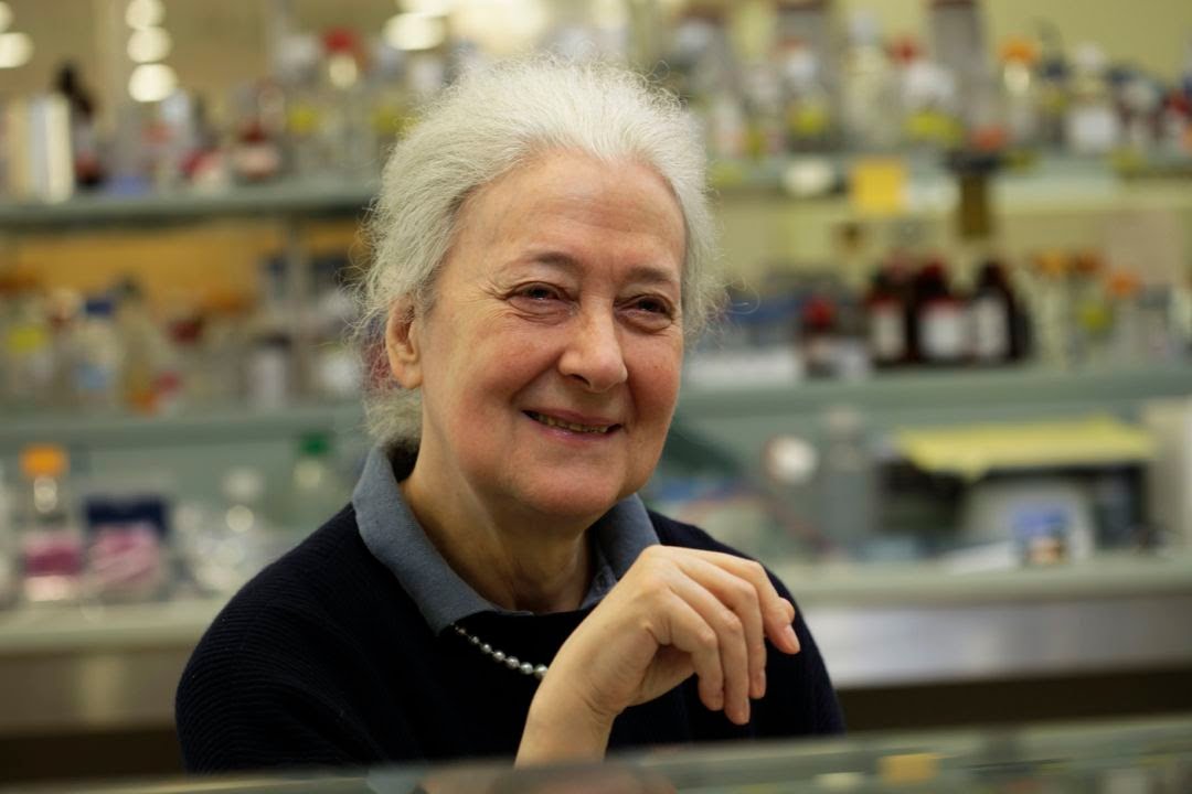 Melitta Schachner - Spinal Cord Regeneration