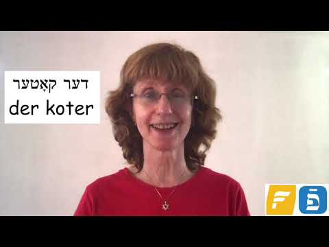 Yiddish Word of the Day: Cats