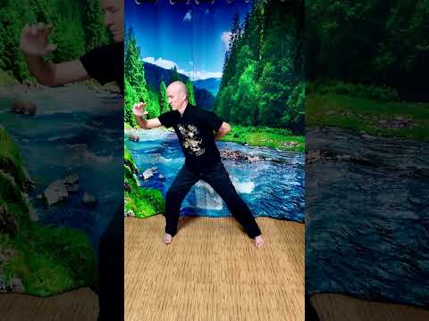 Medical Qigong Practitioners Set - Therapist Level