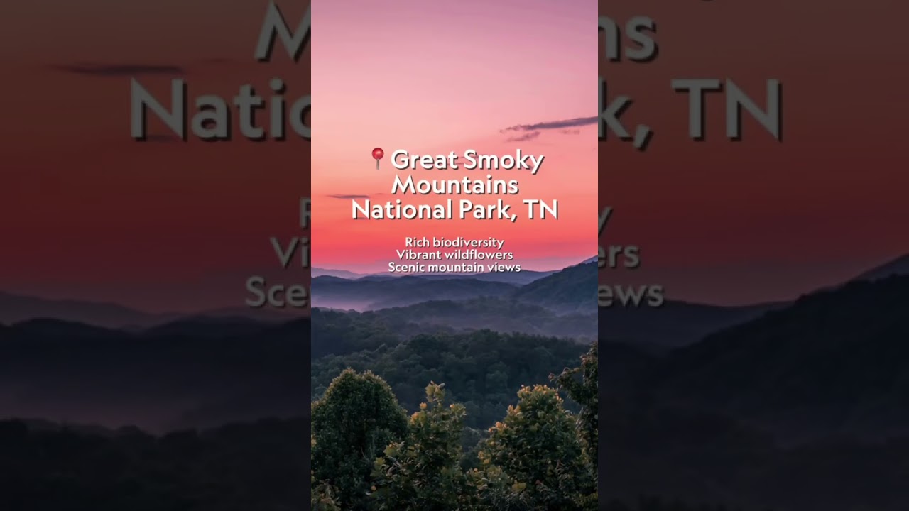 Our 5 Favorite Places to Camp This Spring | Camping & Hiking Recommendations