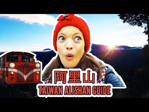 ALISHAN TRAVEL GUIDE | Vintage trains, freaky spiders & bad rap | What to do in Chiayi Taiwan