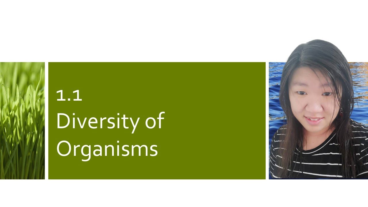 [DLP] [Science F2] Chapter 1 Diversity of Organisms #DLP #KSSM