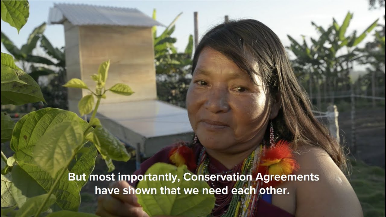 A Shared Vision for a Healthy Future