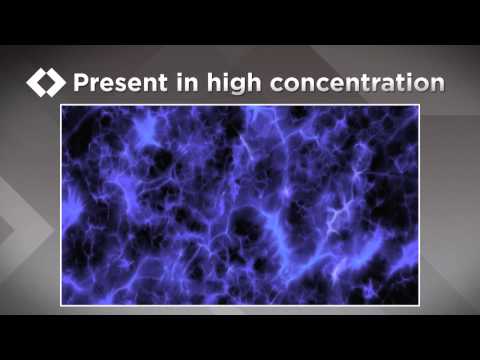 Growth Factors