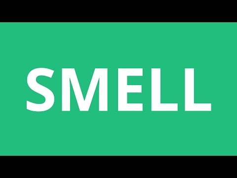 How To Pronounce Smell - Pronunciation Academy