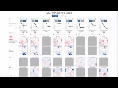 Visualization of the Multi-layered Data from the LINCS MCF10A Dense Cube Project