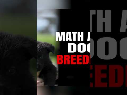 Calculating your dog breedings with COI and COR | Alexander Gonta