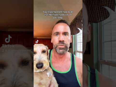 Learn the Doggie Heimlich !