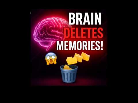 Your brain delete memories every night🤯(Part2) #shortsfeed #shorts #facts