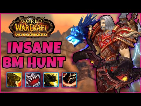 ONE BUTTON Spec is on RAMPAGE in PVP?🐺 - BEAST MASTERY Hunter Cataclysm Classic PvP