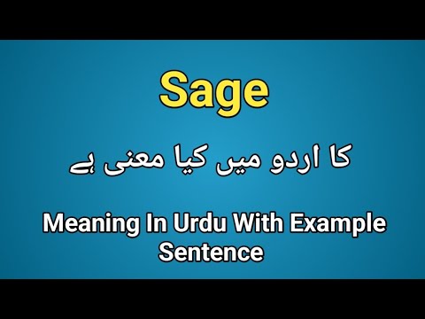 Sage meaning in urdu/hindi |sage k kia matlab hai |sage in sentence |How to pronounce sage
