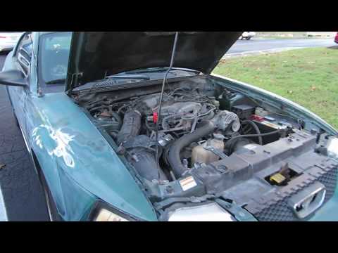 2000 3.8 v6 Mustang EGR check
