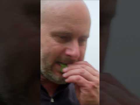 Visiting an Indigenous Plant Garden #Shorts
