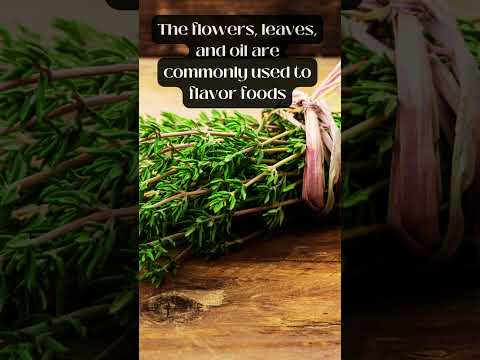 Thyme Benefits #Thyme #Herbs #shorts
