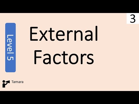 External Factors - Business management Level 5