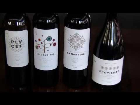 What You Need to Know About Spanish Wine with Alvaro Palacios - Wine Oh TV