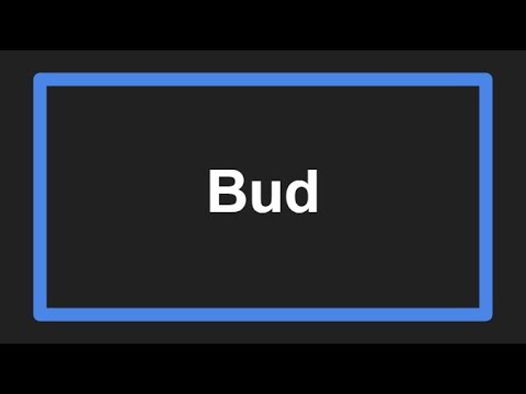 Meaning of Bud
